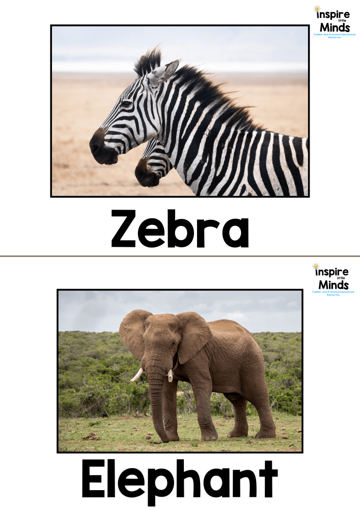 Enhancing Preschool Learning with Safari Animal Flash Cards – Inspire ...