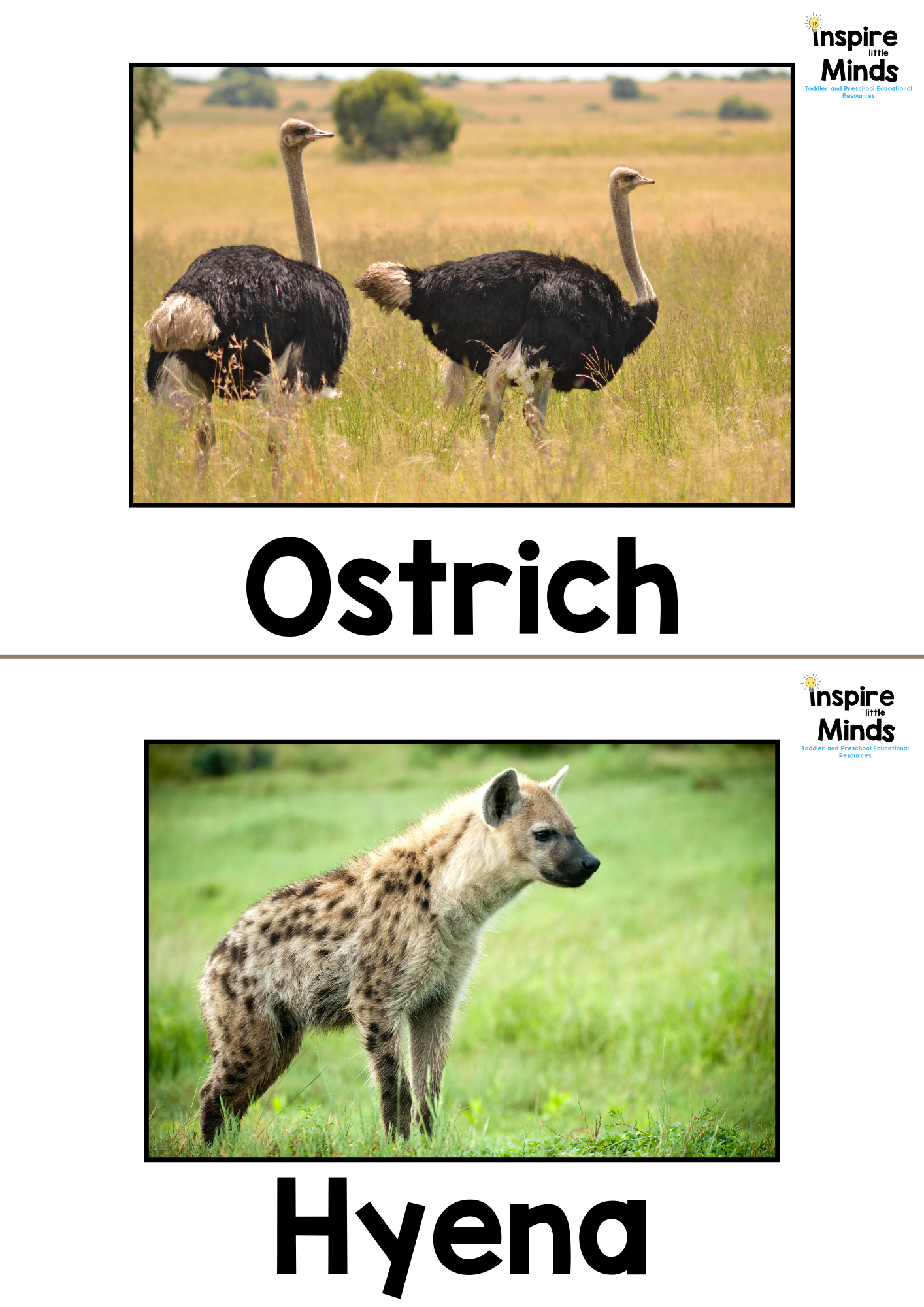Enhancing Preschool Learning with Safari Animal Flash Cards – Inspire ...