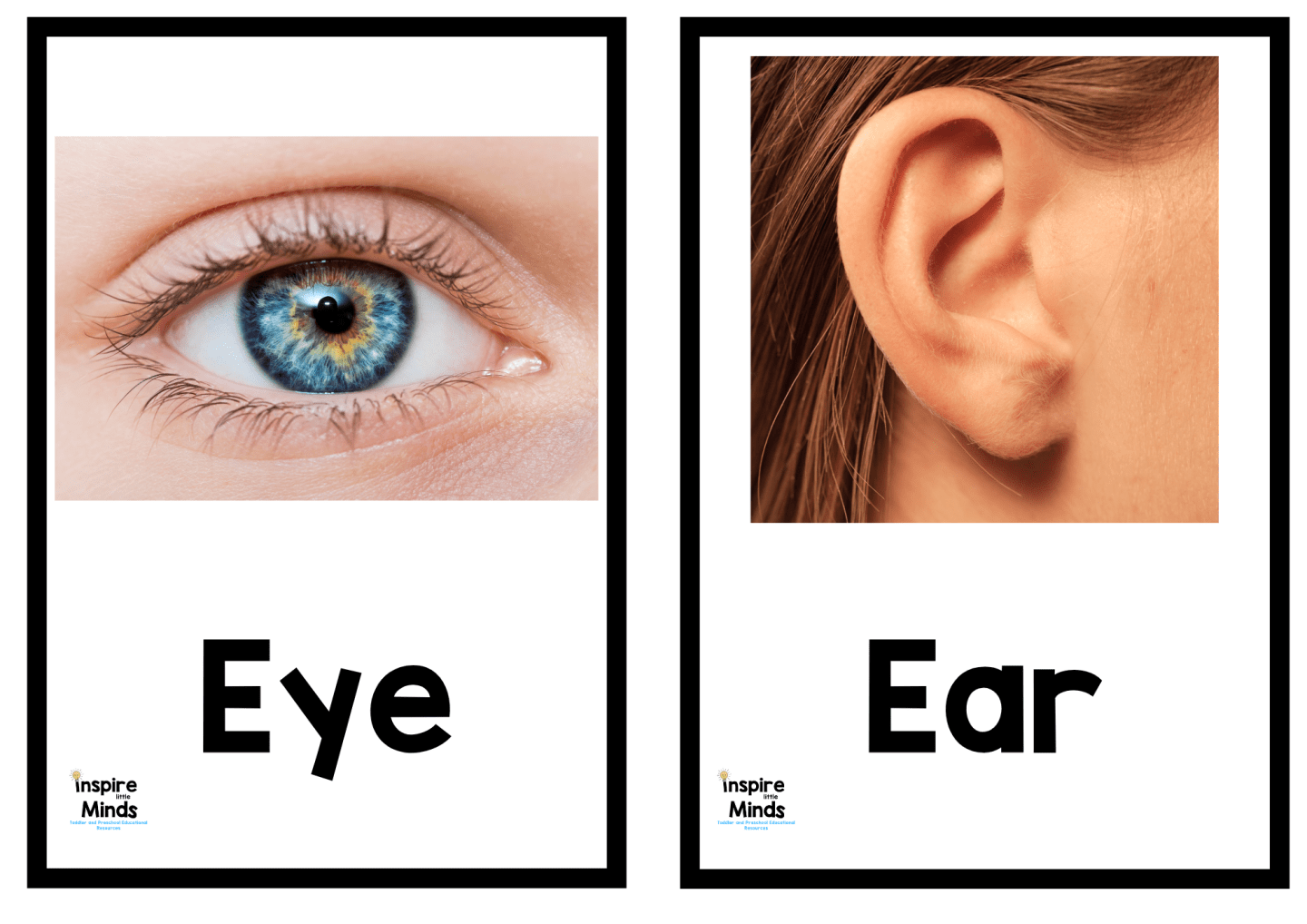 Fun Ways to Teach Body Parts to Preschoolers – Inspire Little Minds