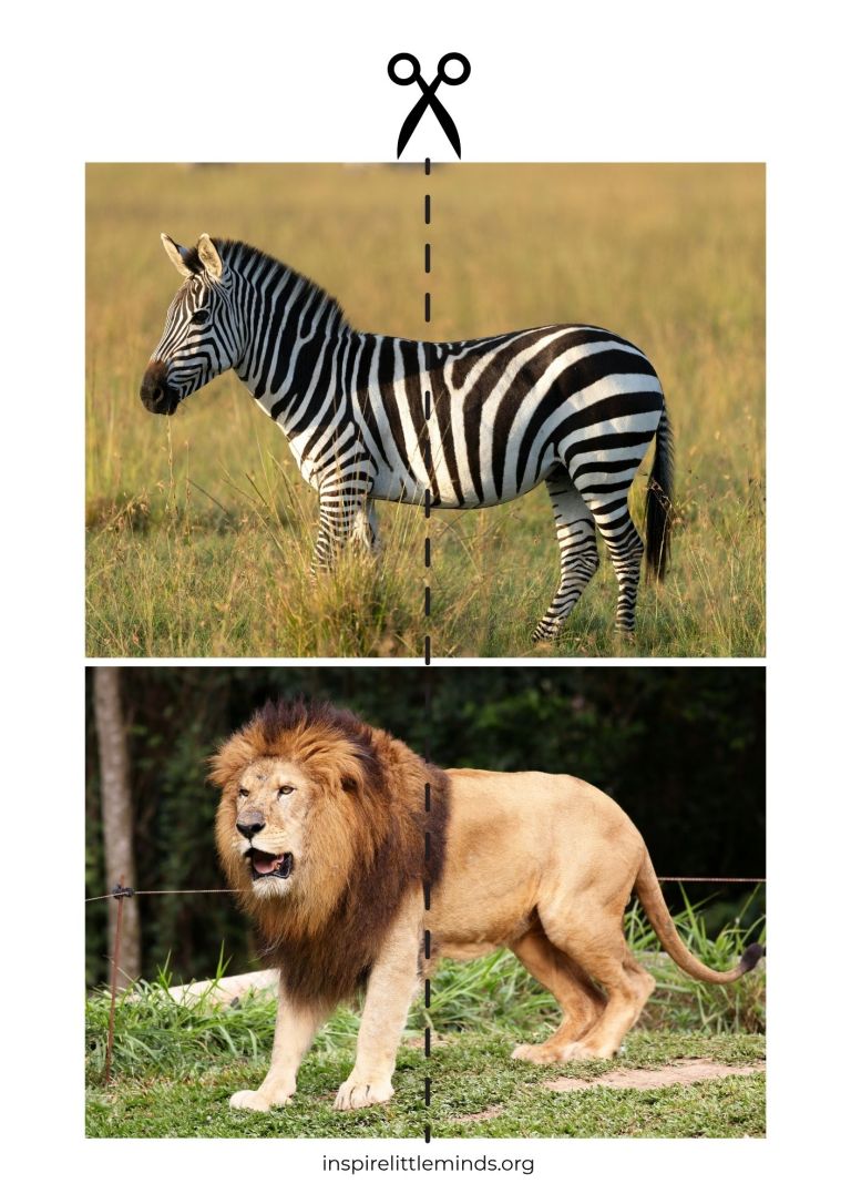 Animal Matching Printable – Inspire Little Minds